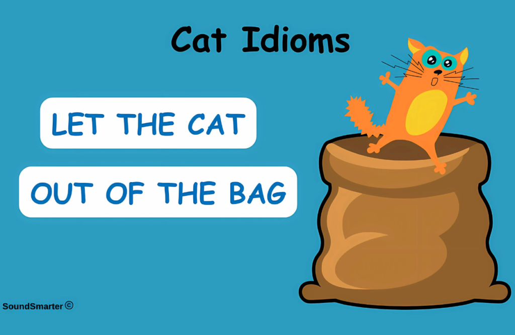 22 Popular Cat Idioms: Meaning, Origin, Example