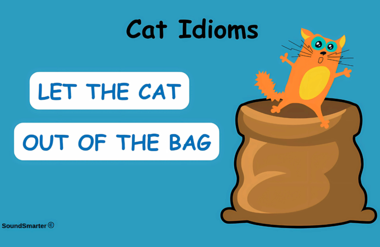 Idioms Vs. Metaphors, Similes, Figurative Speech, Expressions